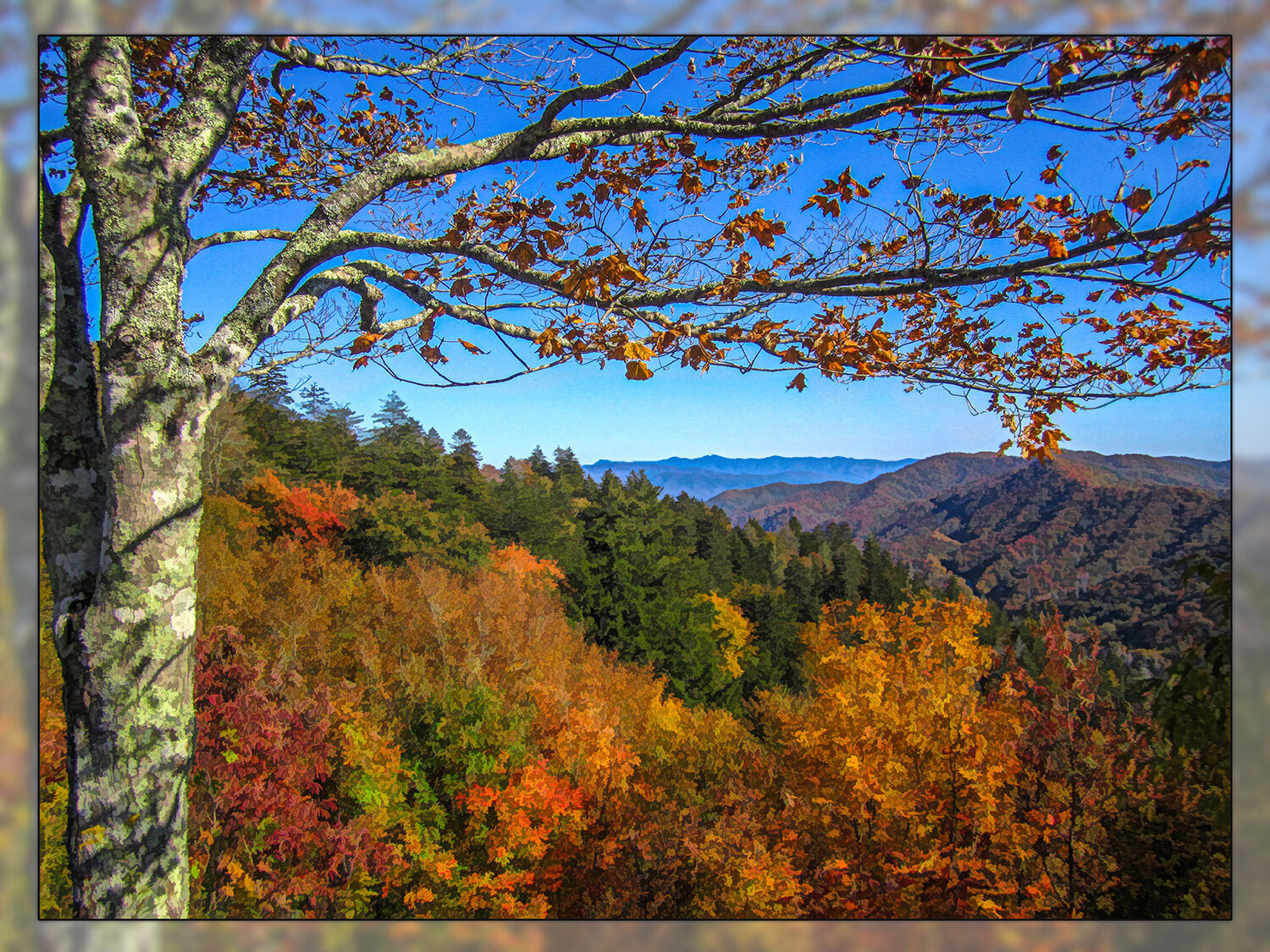 Smokies Fall Scene Fabric Panel - NPSM-004 – Focus on Fabric