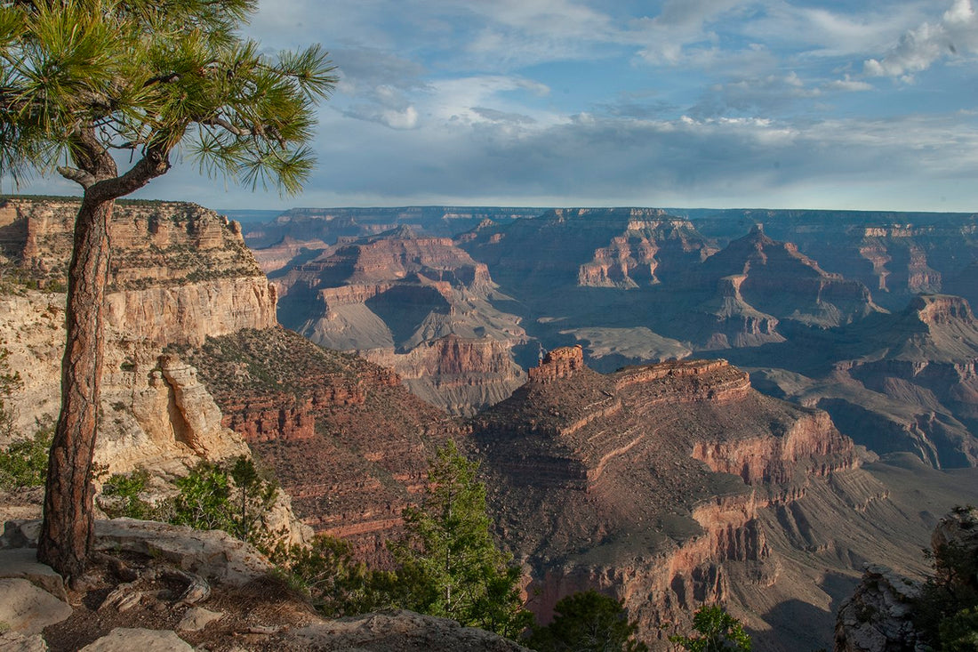 Grand Canyon South Rim View Fabric Panel – Focus on Fabric